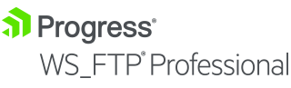 WS_FTP Professional 12.9 Getting Started