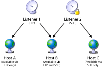 Understanding the relationship between listeners and hosts